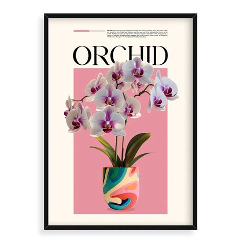 Orchid Plant Poster Home Decor Houseplant Poster Plant Print Plant