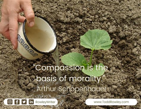 Core Value Compassion
