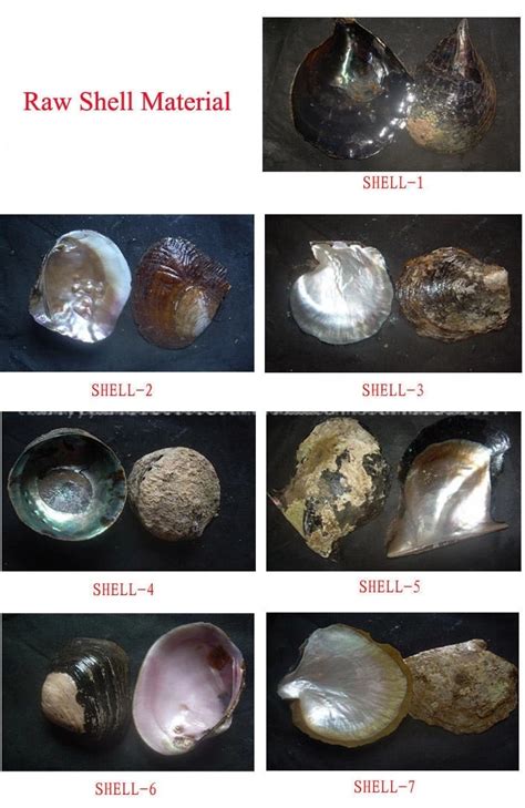 China Mother Of Pearl Fashion Wall Mosaic Tile Dyed Shell Mosaic For