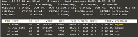 Docker Entrypoint How Entrypoint Works In Docker