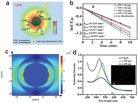A Schematic Illustration Of Long‐range Plasmon Field And Download