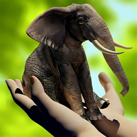Miniature Elephant