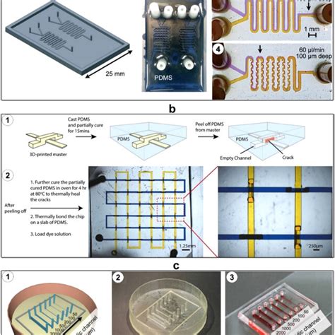 3d Printed Mold For Pdms Microfluidic Devices A Pdms Microfluidic Download Scientific