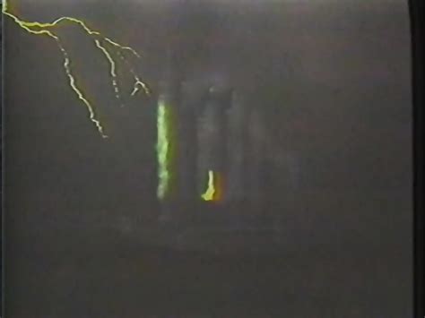 American Rose Usa 1994 Bianca Trump Kylie Ireland Eporner