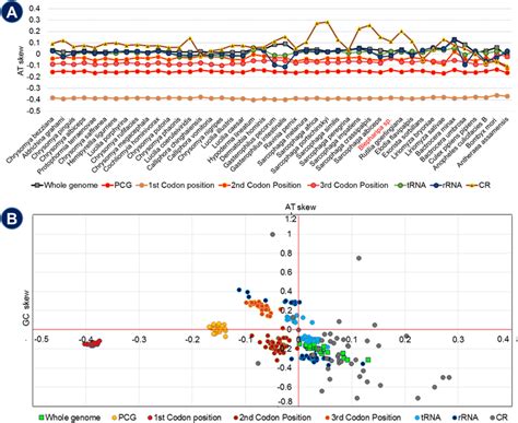Nucleotide Skew Plot A Trend Of At Skew Across The Oestroidea