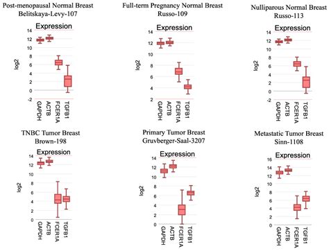Unexpected Expression And Function Of Fcεri In Immortalized Breast Cancer Cells A Cautionary