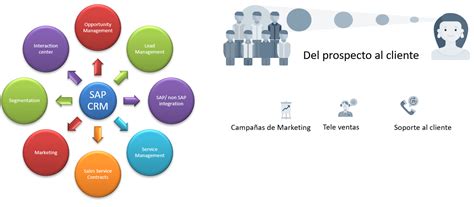 Consultoría En Sap