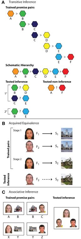 Frontiers The Hippocampus And Inferential Reasoning Building