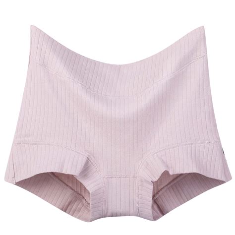 Womens Underwear 100 Cotton High Waisted Underwear Full Coverage