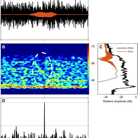 Source And Echo Level Dynamics For The Different Noise Treatments And