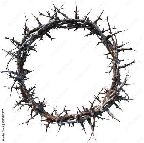 Circle Of Thorns