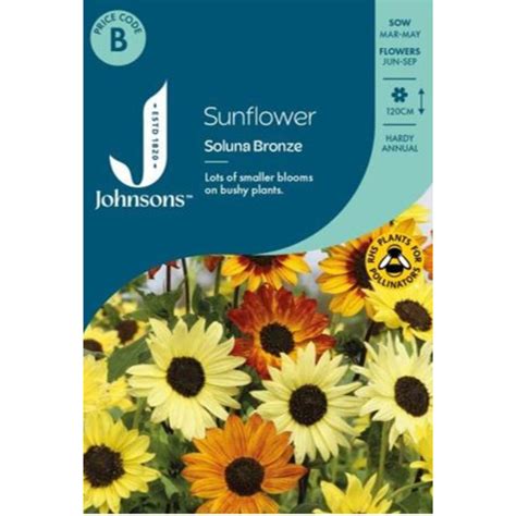Sunflower Soluna Bronze Piscopo Garden Centre