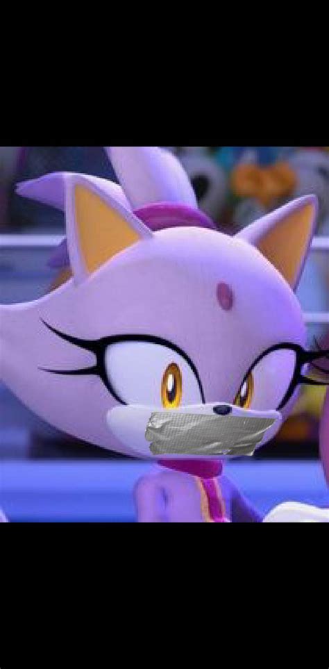 Cat Blaze Gagged By Vasilyivanovicz On Deviantart