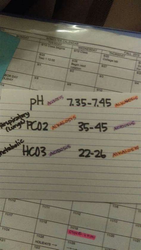 Anatomy And Physiology Cheat Sheet