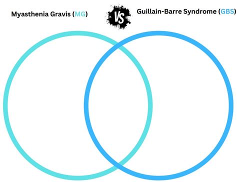 NUR GBS Vs MG Test Review Diagram Quizlet