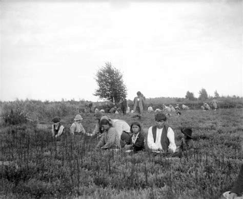 The Wisconsin Winnebagoes