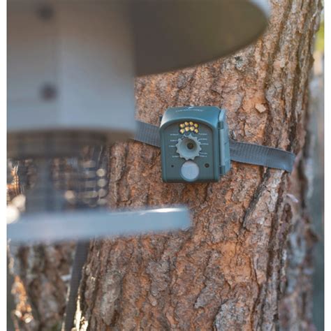 Wingscapes Bird Cam Motion Activated Weatherproof Bird Camera