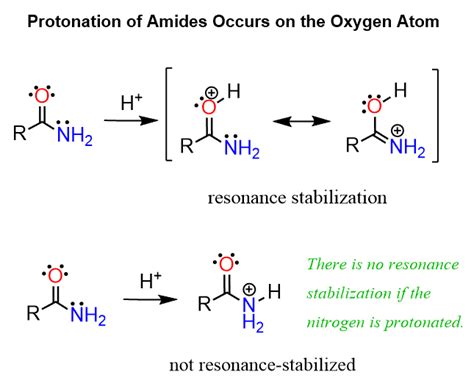Basicity Of Amines Chemistry Steps