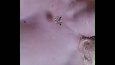 A Quick Tail Swipe Xxx Mobile Porno Videos And Movies Iporntv Net