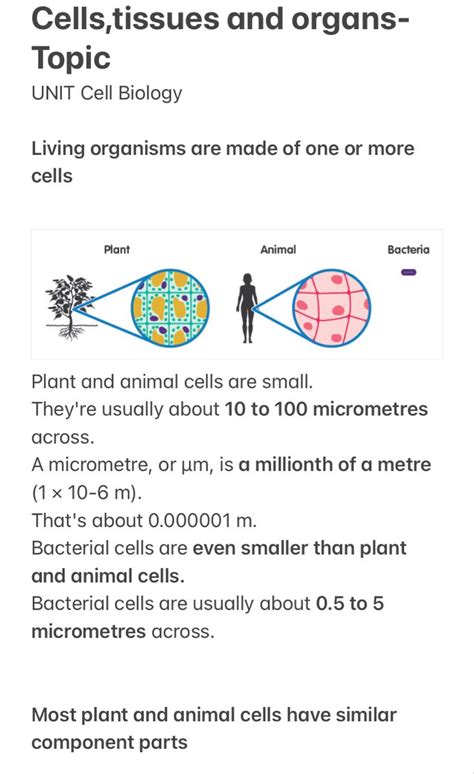 cells tissues and organs unit 1 page 1 artofit