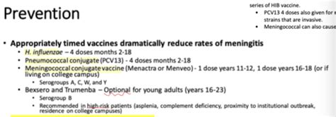 Meningitis Flashcards Quizlet