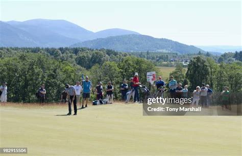 Toby Tree Photos And Premium High Res Pictures Getty Images