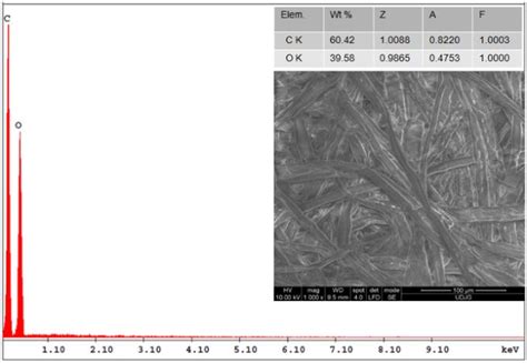 Sem Edx Spectra And Quantification Of A Filter Paper Without Marine