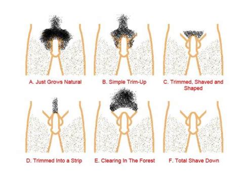 Manscaping 101 How He Should Shave Down There