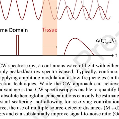 Most Commonly Used Functional Near Infrared Spectroscopy Fnirs