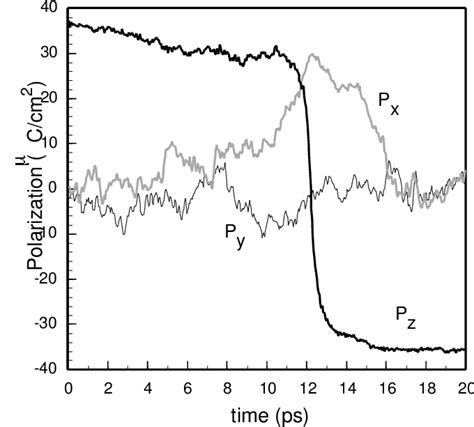 Time Evolution Of The Three Components Of Polarization Through The