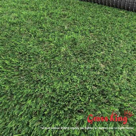 Excellent Imitation Grass Carpet 65ft Width