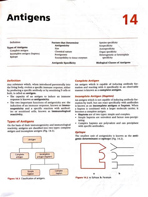 Antigens Pdf Antigen Immunogenicity