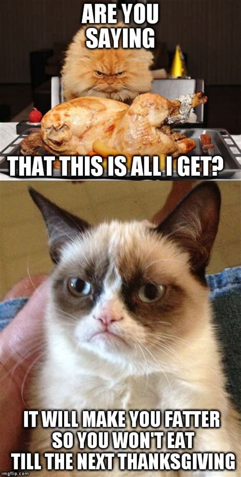 Thanksgiving Grumpy Cat