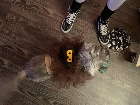 Theres Evil Afoot R Spongebob