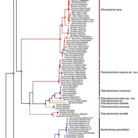 Ara Monadjem Professor Full Phd University Of Natal