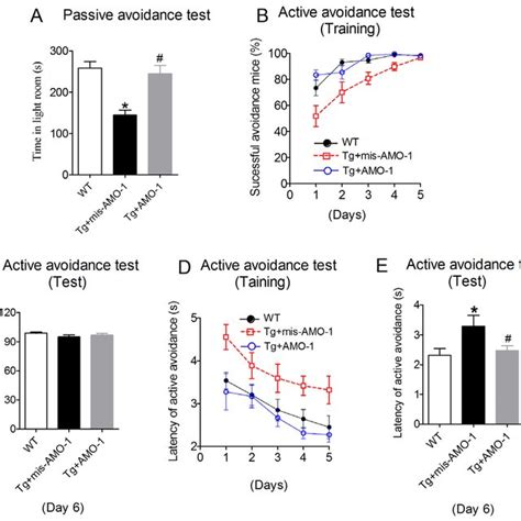 Learning And Memory Impairment In Mi Mice Assessed By Passive And