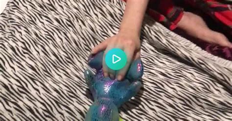 Malocclusion Treatment For Squirrel Album On Imgur