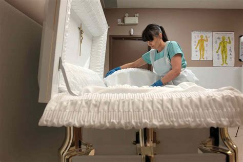 Embalmed Body Decomposition