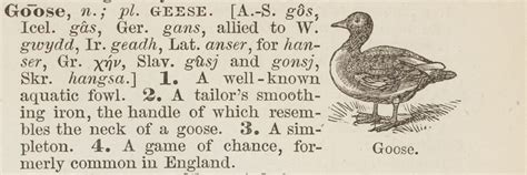 Advent Definitions Dont Be A Goose Ucl Ucl Special Collections