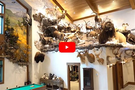 These 11 Hunters Trophy Rooms Are Completely Unbelievable Wide Open