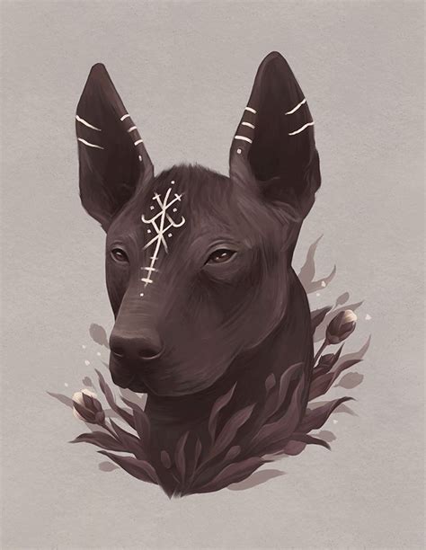 Xoloitzcuintli Photos