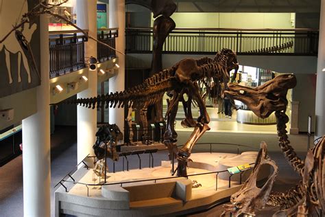 Dinosaur Hall Academy Of Natural Sciences Of Drexel Univer Flickr