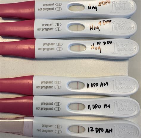 First Response Pregnancy Test Results First Response Dip And Read