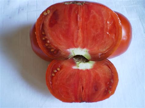 Rajčica Crni Princ Sjeme