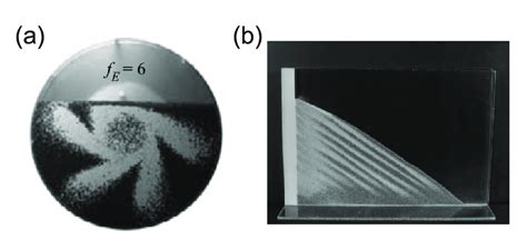 6 Size Segregation In Unsteady Granular Flows A Streak Formation In Download Scientific