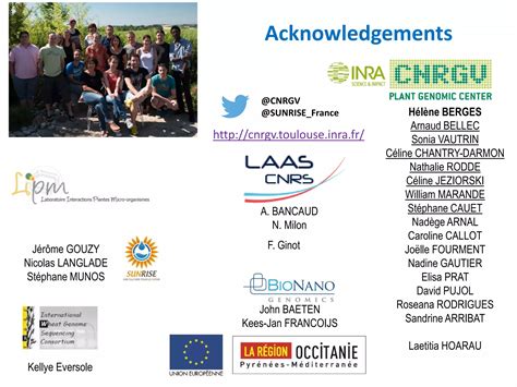 Toward A Better Understanding Of Plant Genome Structure Combining Ngs