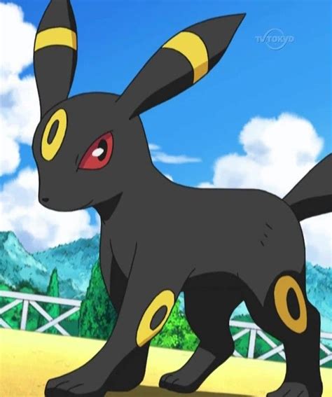 Umbreon Pokemon Umbreon Pokemon Manga Umbreon