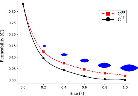 Permeability Components Versus Size Of The Fish Body 2 Microstructure