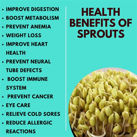 Sprouts Natural Foods Best Organic Food