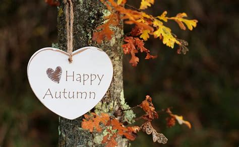 Happy Fall Wallpaper